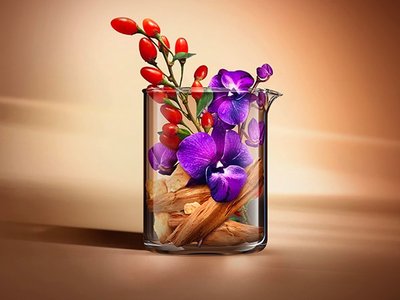 GOOD Coloration Permanente: Découvre les nuances | Garnier